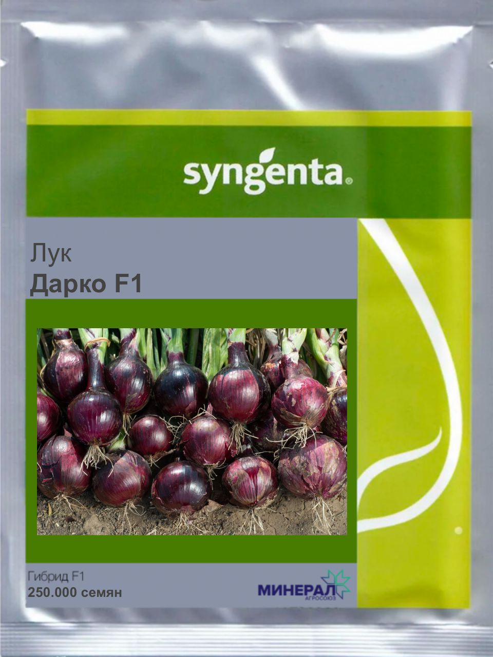 Лук ДАРКО F1 | SmartSeeds.by